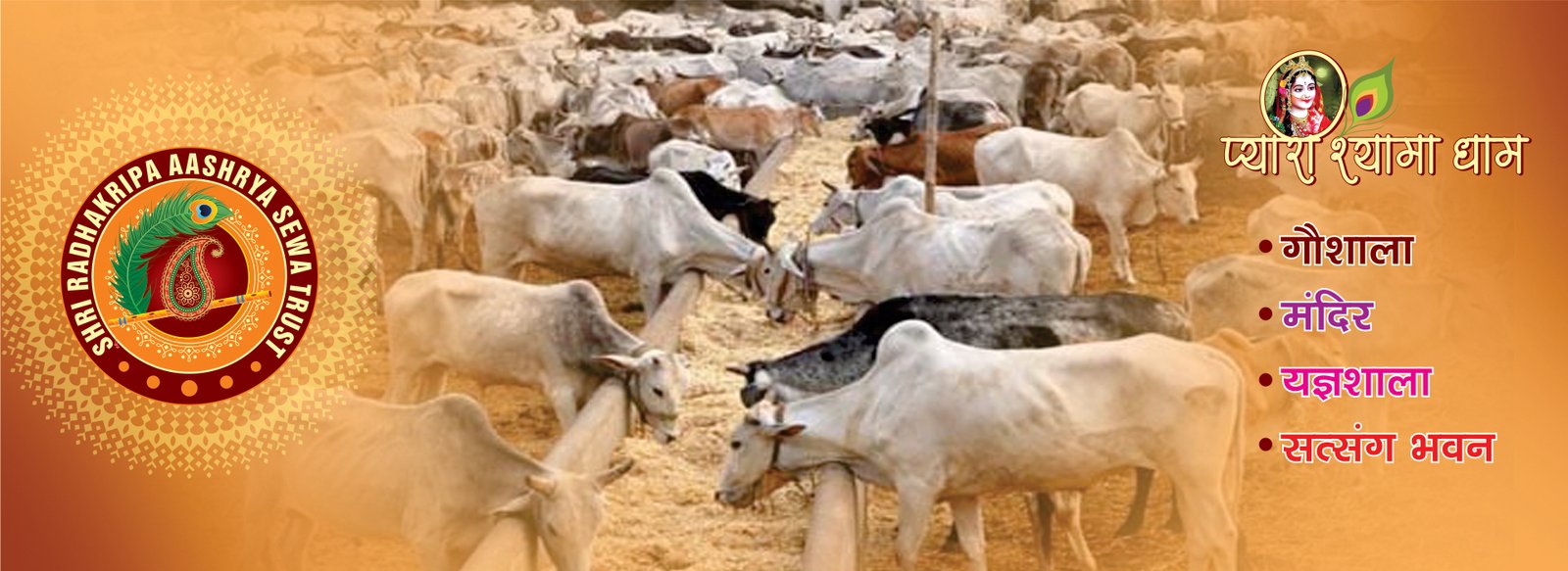 Welcome to Shri Radhakripa Aashrya Sewa Trust, Vrindavan